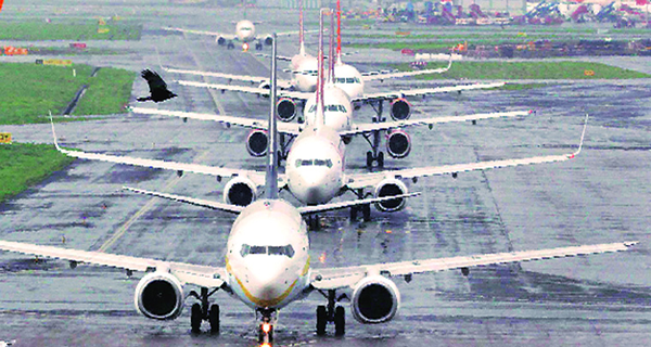 Airlines record 93 bird strikes, lose over N20 billion to menace ...