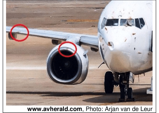 Evaluating cost, risks of bird strike - Aviation metric